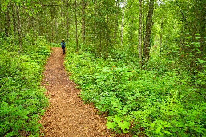 Talkeetna Lakes Hike Guided by a Naturalist - Exploring Talkeetna Lakes Hike Guided by a Naturalist: A Genuine Wilderness Encounter