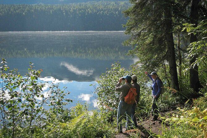 Talkeetna Lakes Hike Guided by a Naturalist - Key Points