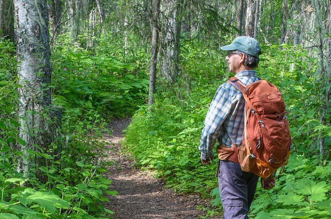 Talkeetna Lakes Hike Guided by a Naturalist - Final Thoughts: Is It Worth Your Time?