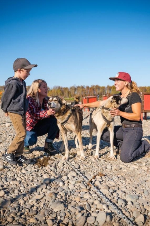 Talkeetna: Mushing Experience with Iditarod Champion Dogs - The Sum Up