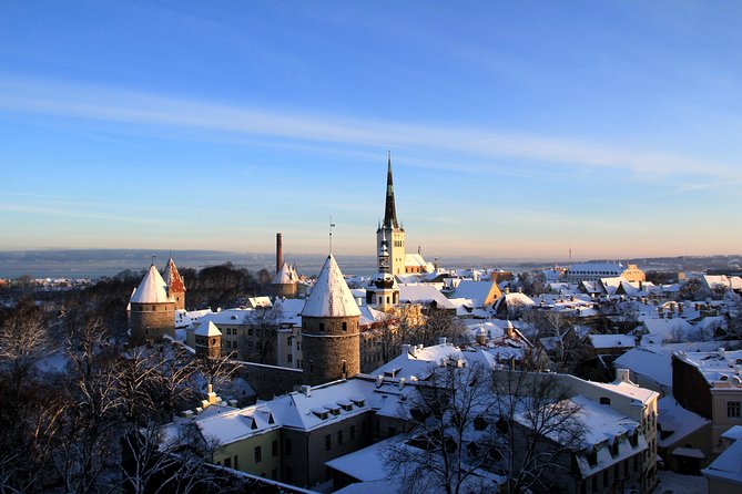 Tallinn City Private Tour - Alexander Nevsky Cathedral