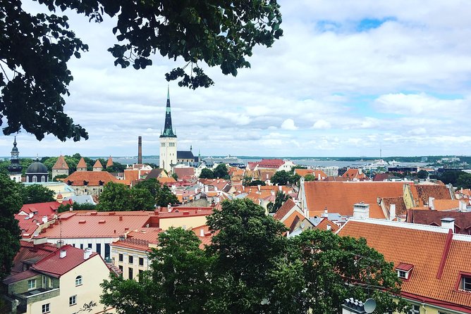 Tallinn Day Tour from Helsinki (Ferry Tickets+ Guiding+ Own Time) - Analyzing the Value: Is It Worth It?