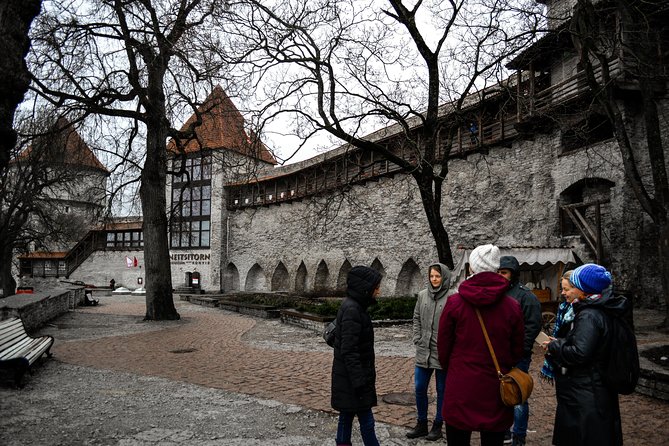 Tallinn Old Town Tour combined with Bog Walk - Who Would Enjoy This Tour?