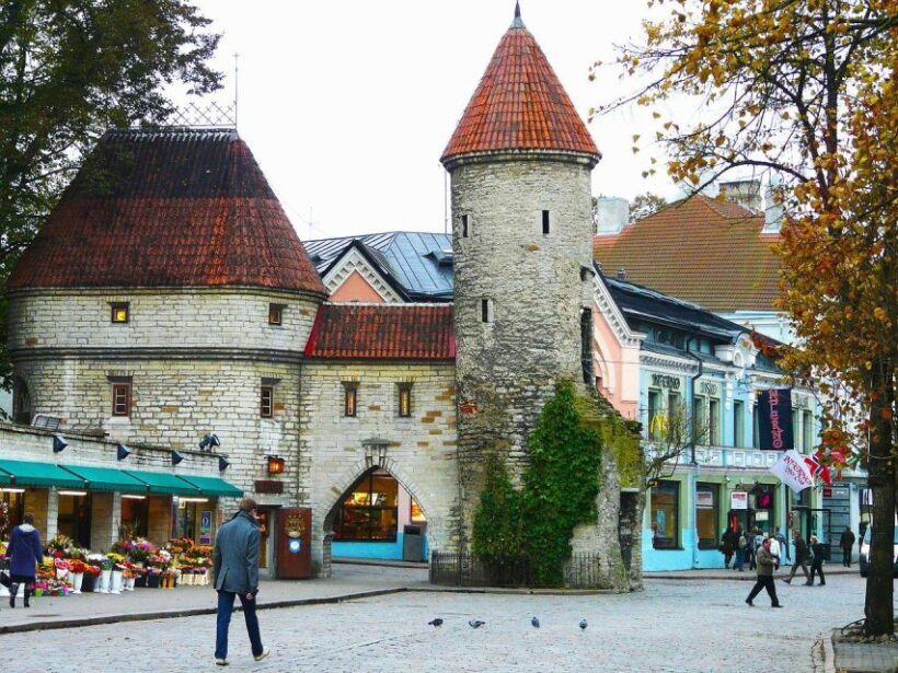 Tallinn: Private Walking Tour - Exploring Tallinn’s Heart: An Overview