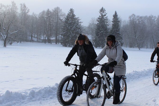 Tallinn Winter Bike Tour With Cafe Stop - Discovering Kalamajas Wooden Houses