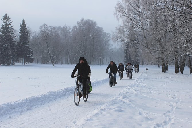 Tallinn Winter Bike Tour With Cafe Stop - Experiencing Local Life at a Café