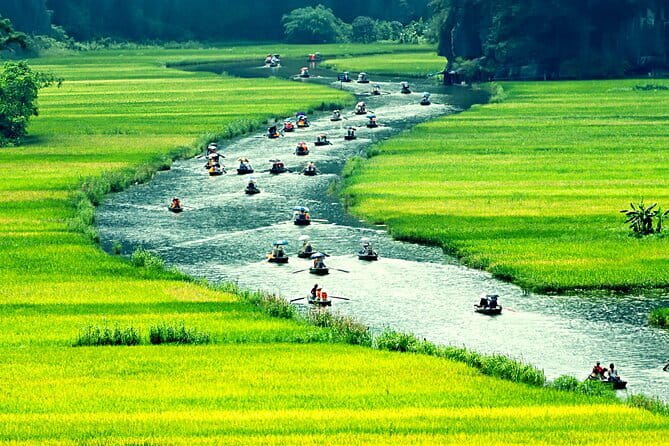 Tam Coc Countryside & Cave Escape - Transport and Logistics
