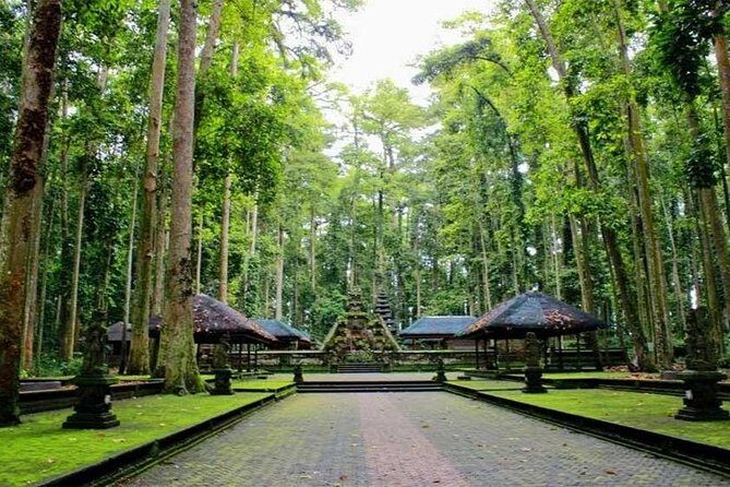 Taman Ayun Temple, Sangeh Monkey Forest, Swing included Transport & Lunch - An In-depth Look at the Tour