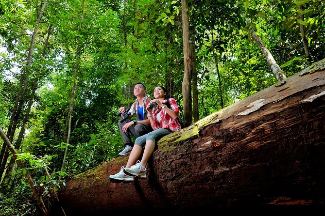 Taman Negara Day Trip from Kuala Lumpur with Lunch - Authentic Experiences That Shine