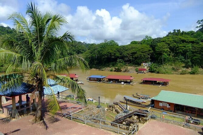 Taman Negara National Park Day Excursion with Canopy Walk from KL - Key Points