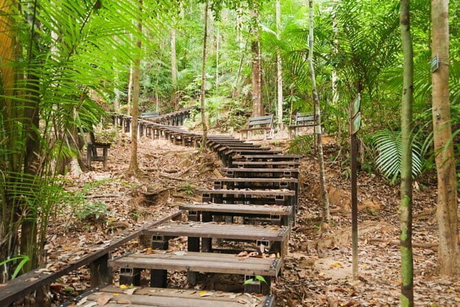 Taman Negara National Park Day Excursion with Canopy Walk from KL - Practical Details and Logistics