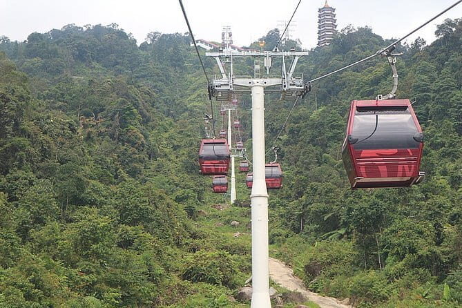 Taman Negara National Park Day Excursion with Canopy Walk from KL - Who Will Love This Tour?