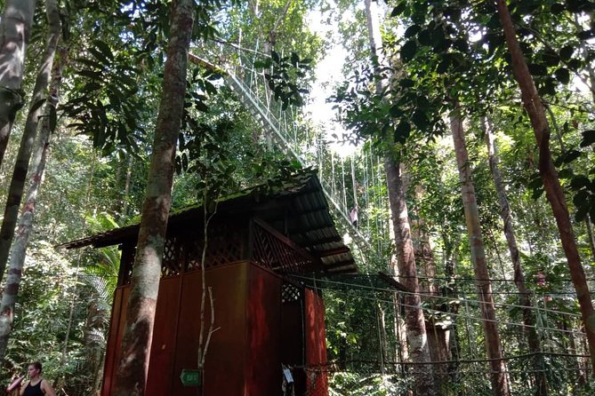 Taman Negara National Park Day Tour (SIC - Join In Tour) - What the Reviews Tell Us