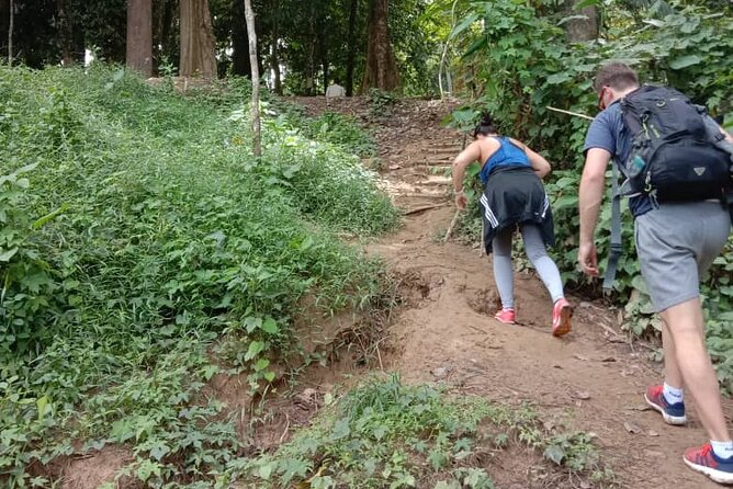 Taman Negara National Park Day Tour (SIC - Join In Tour) - Who Should Consider This Tour?