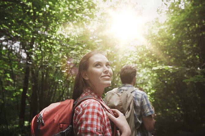 Taman Negara National Park Day Tour with Professional Local Guide - Key Points