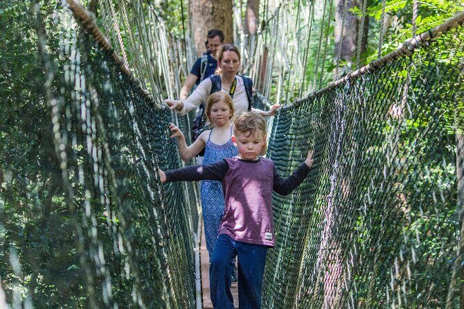 Taman Negara National Park Day Tour with Professional Local Guide - An Extensive Look at What’s Included and What to Expect