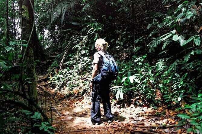 Taman Negara Rainforest Day Tour With Batu Caves Bonus Stop *25* - A Detailed Look at What the Tour Offers