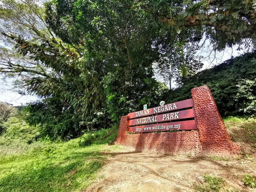 Taman Negara Rainforest Tour with Lata Berkoh Falls - Key Points