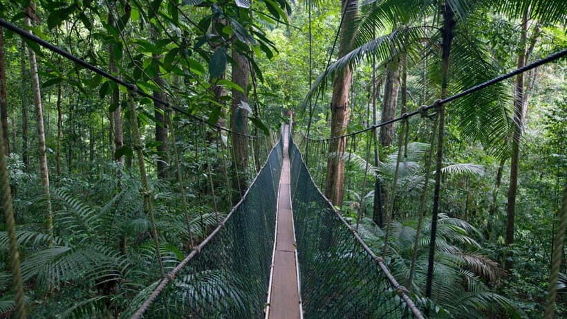Taman Negara Rainforest Tour with Lata Berkoh Falls - An In-Depth Look at the Tour Itinerary