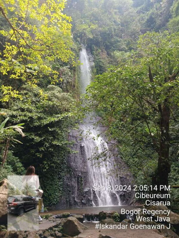 Taman Safari and Tea Plantation Tour at Puncak - Practical Tips for Making the Most of This Tour