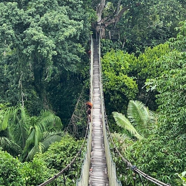 Tambopata: 2 days and 1 night - Aventura and Sandoval Lake - Final Thoughts: Is This Tour Worth It?