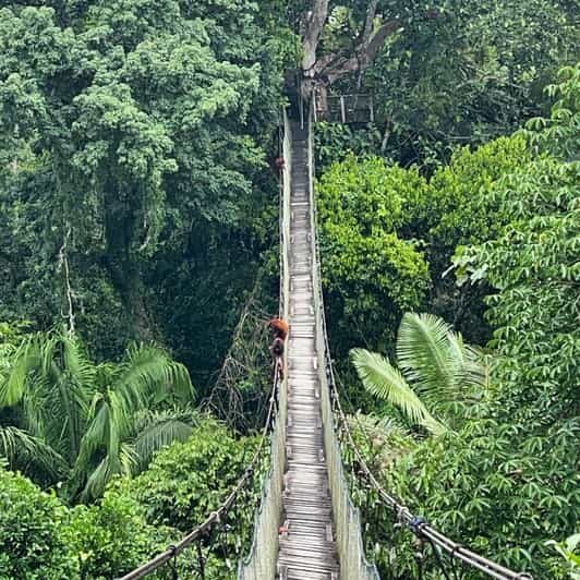 Tambopata: 2 days and 1 night - Aventura and Sandoval Lake - FAQs