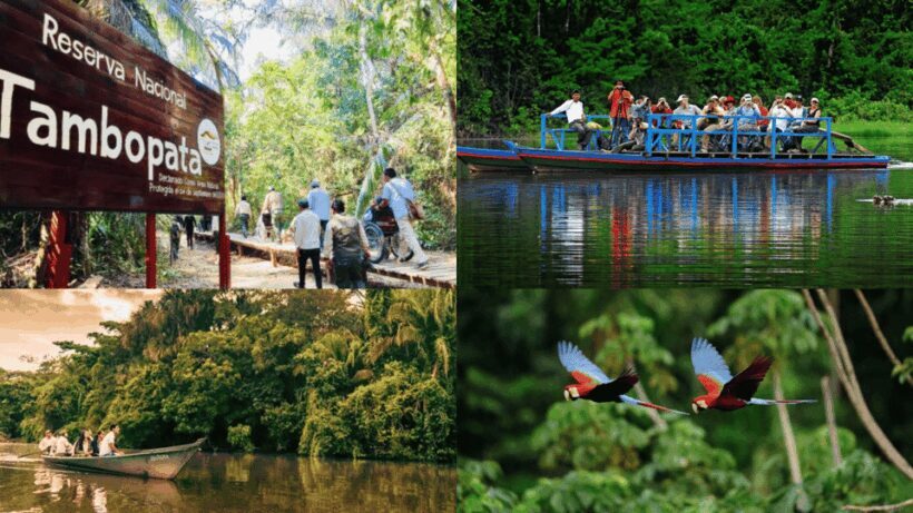 Tambopata 4Days/3Nights - A Closer Look at the Itinerary