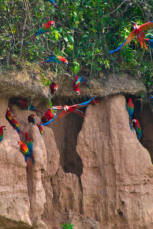 Tambopata 4Days/3Nights - Who Should Consider This Tour?