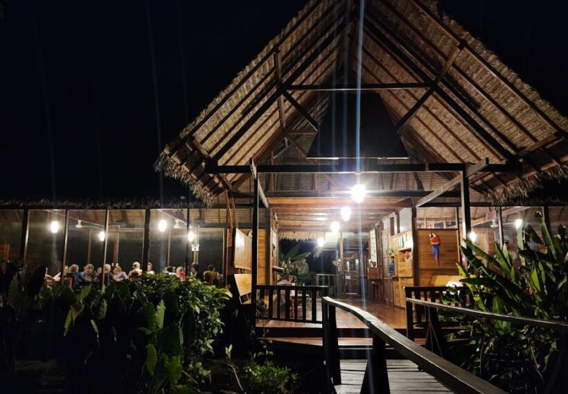 Tambopata All in One - A Deep Dive Into the Jungle: What to Expect