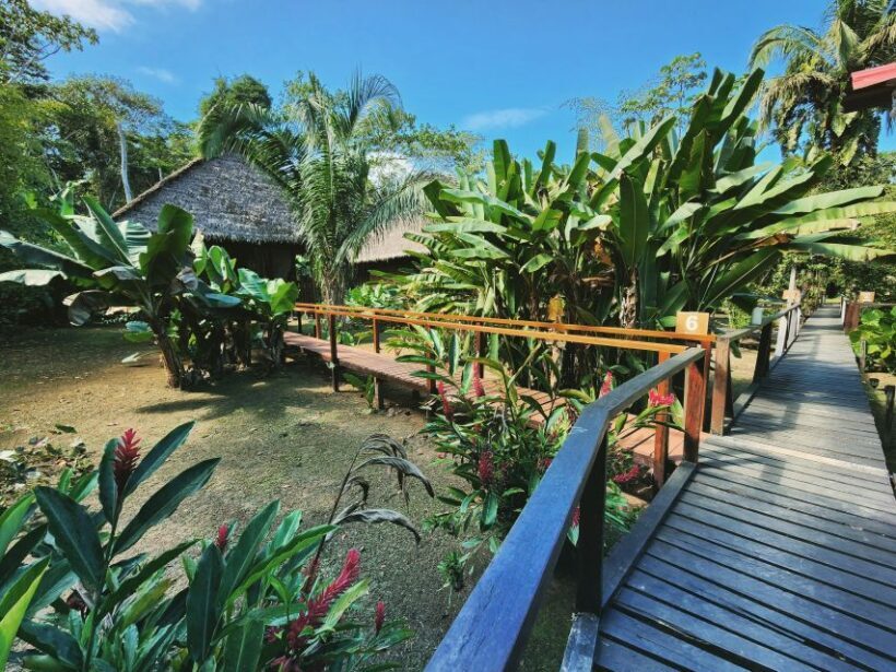 Tambopata All in One - Who Should Consider This Tour?