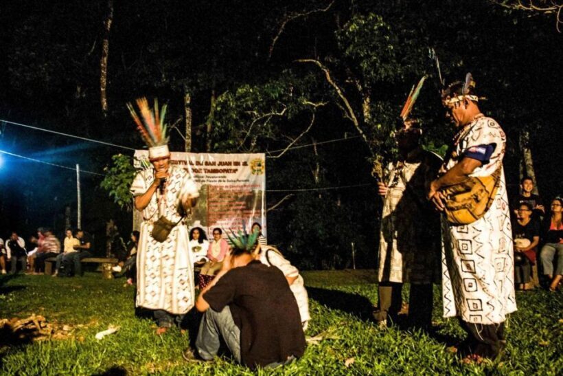 Tambopata: Ayahuasca Retreat 2 days | lodge and lunch | - Key Points