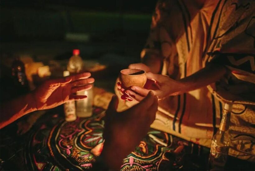 Tambopata: Ayahuasca Retreat 2 days | lodge and lunch | - Final Thoughts: Is It Worth It?