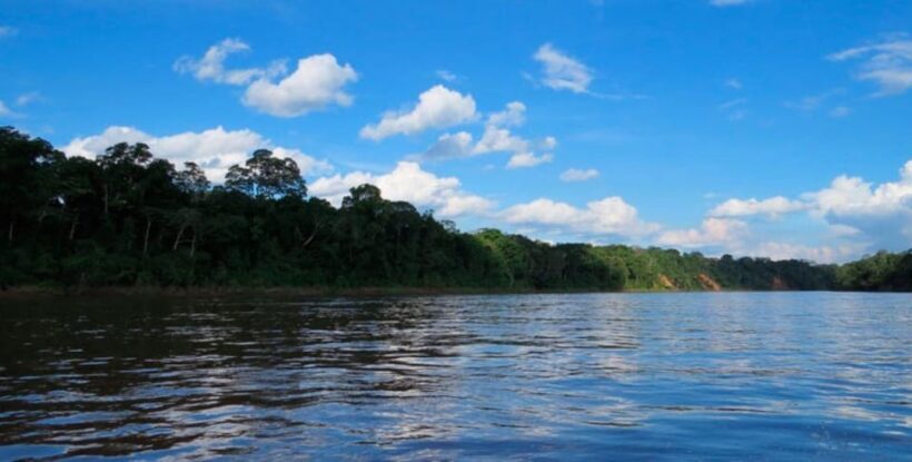 Tambopata Clay Lick for Macaws 2D/1N - Practical Details and Logistics