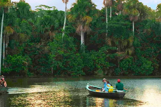 Tambopata Jungle Adventure Tour 4 Days - Highlights of the Adventure