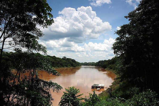 Tambopata Jungle Adventure Tour 4 Days - Transportation and Pickup Information