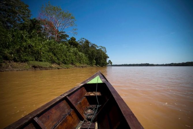 Tambopata Jungle Adventure Tour 4 Days - Traveler Feedback and Experiences