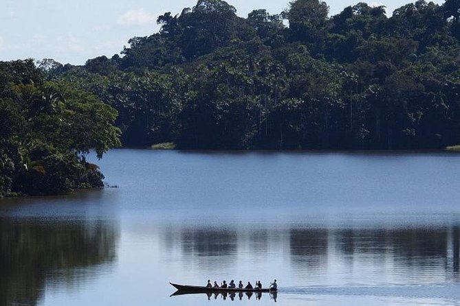 Tambopata Jungle Adventure Tour 4 Days - Important Considerations