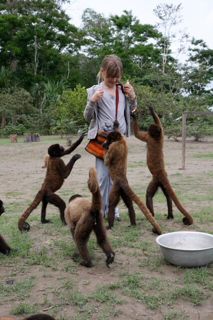 Tambopata Macaw Clay Lick 4 days/3 nights - Key Points