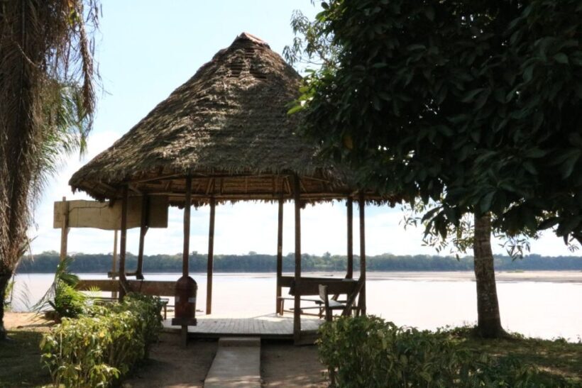 Tambopata: Multi-Day Amazon Rainforest Tour with Local Guide - An In-Depth Look at the Tour Experience