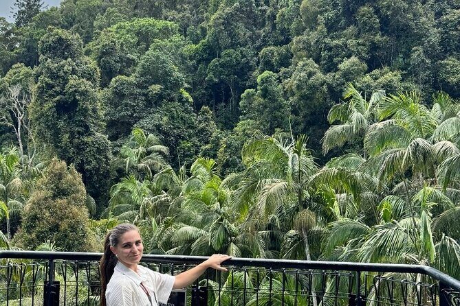 Tamborine Explorer from Gold Coast - Key Points