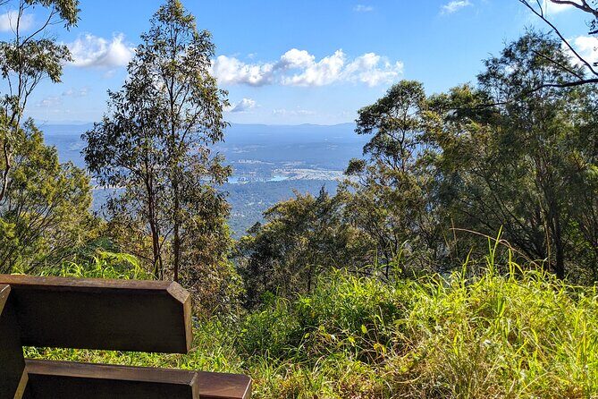 Tamborine Mountain and Paradise Point Tour from Brisbane - Authentic Experiences from Travelers