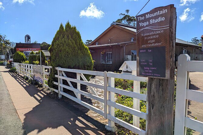 Tamborine Mountain and Paradise Point Tour from Brisbane - Who Will Enjoy This Tour?