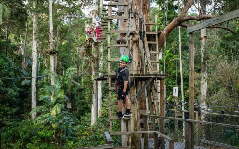 Tamborine Mountain: TreeTop Challenge Adrenaline Pass - Introduction