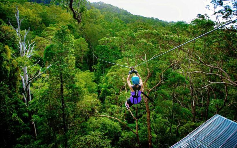 Tamborine Mountain: TreeTop Challenge Adrenaline Pass - What Is Included in the Package?