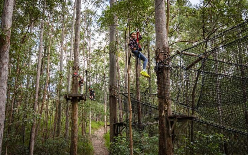 Tamborine Mountain: TreeTop Challenge Adrenaline Pass - Practical Details and Considerations