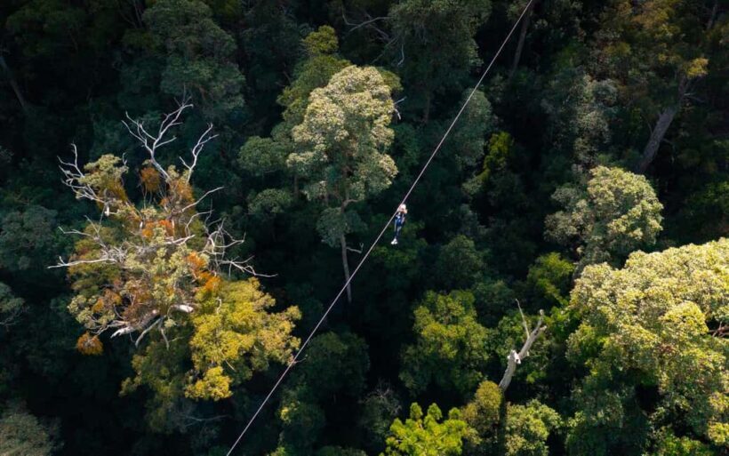 Tamborine Mountain: TreeTop Challenge Adrenaline Pass - FAQ