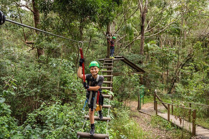 Tamborine Mountain TreeTop Challenge Adventure Park - An Overview of the Experience