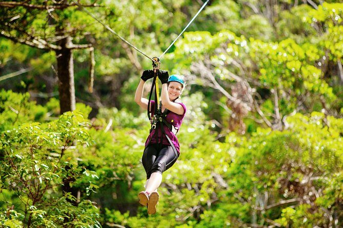 Tamborine Mountain TreeTop Challenge Adventure Park - Final Thoughts — Is It Worth It?