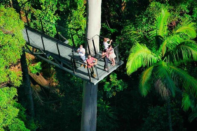 Tamborine Rainforest Skywalk + Hop on Hop off Bus - An Authentic Day on Tamborine Mountain