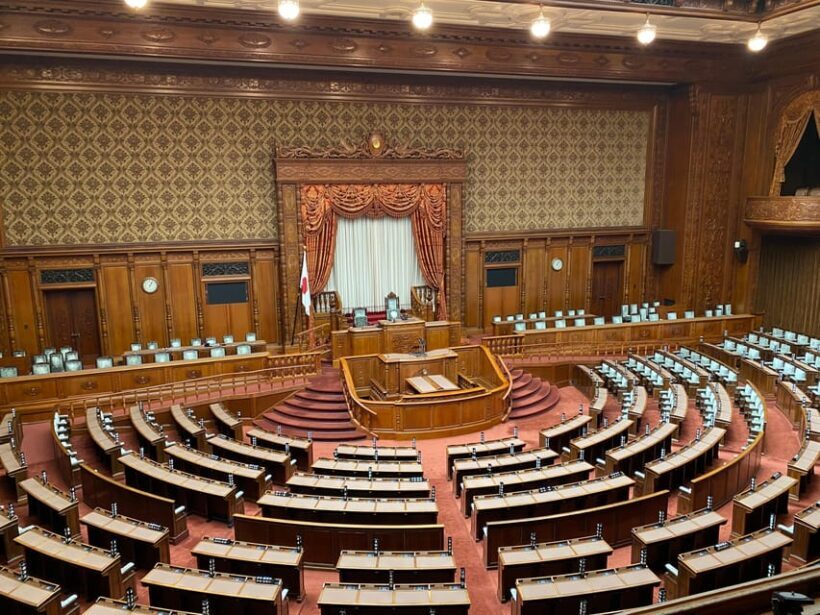 Tameike: Exploring the Heart of Japanese Politics Tour - Exploring Japan’s Political Heart: A Detailed Look